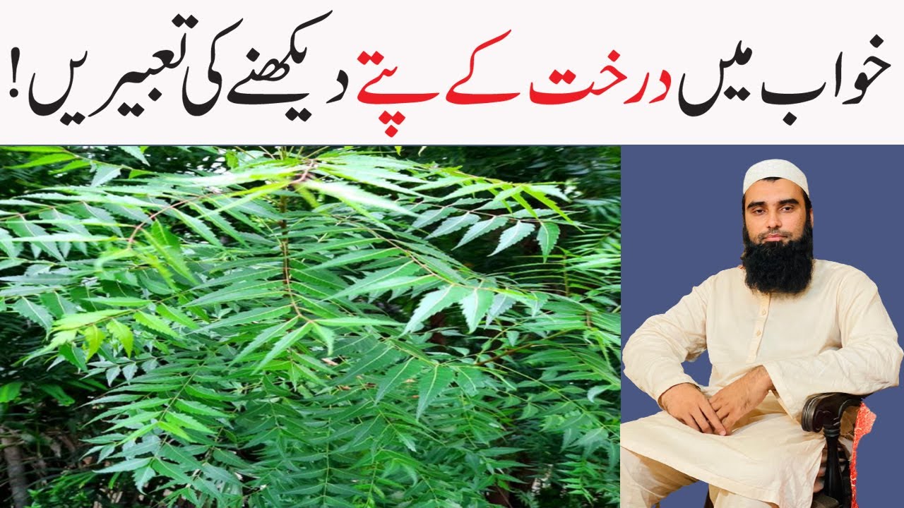 Khawab Main Darakht Ke Pattay Dekhna |Khwab Mein Darakht Ke Pattay ...