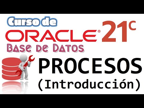 Oracle Base de Datos 21c desde cero para principiantes | PROCESOS ...