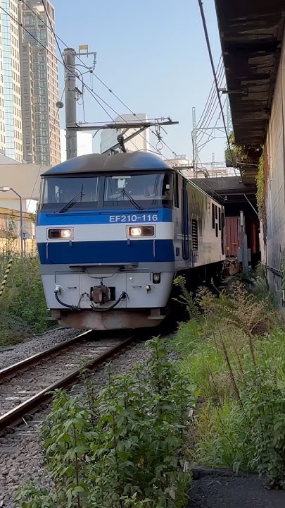 🟦EF210 116 [新] 5692レ - YouTube
