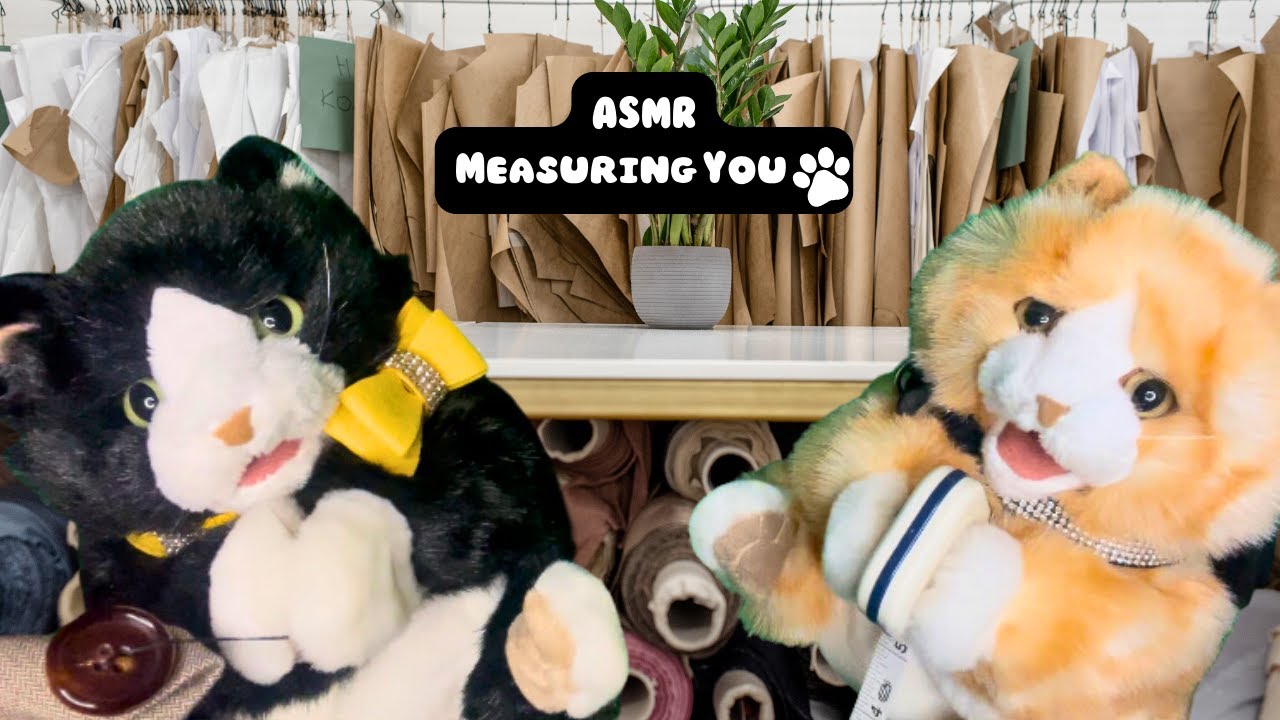 ASMR Roleplay Cats in the Tailor Shop Measure You Personal Attention Layered Sounds - YouTube