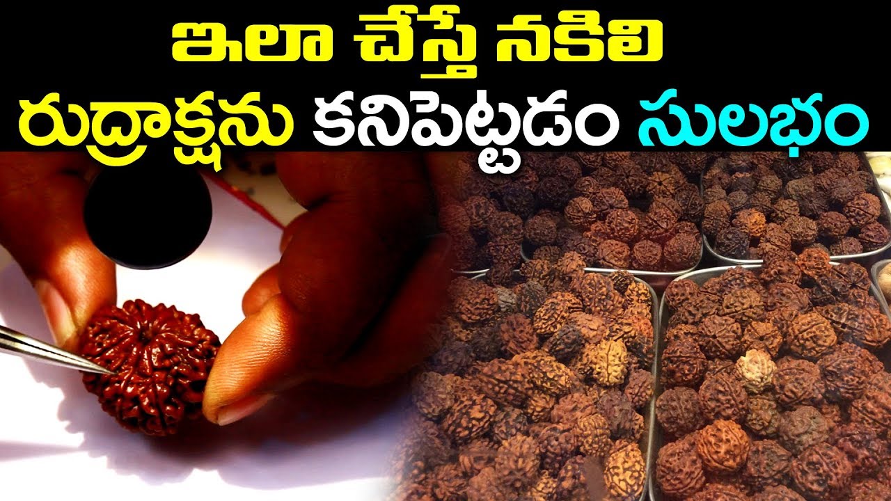 ఇలా చేస్తే నకిలి రుద్రాక్ష కనిపెట్టడం సులభం | Easy To Find Fake ...