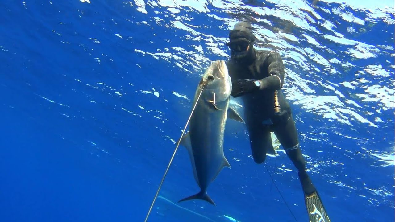 SPEARFISHING MOMENTS N.1 deep and very deep spearfishing by George ...