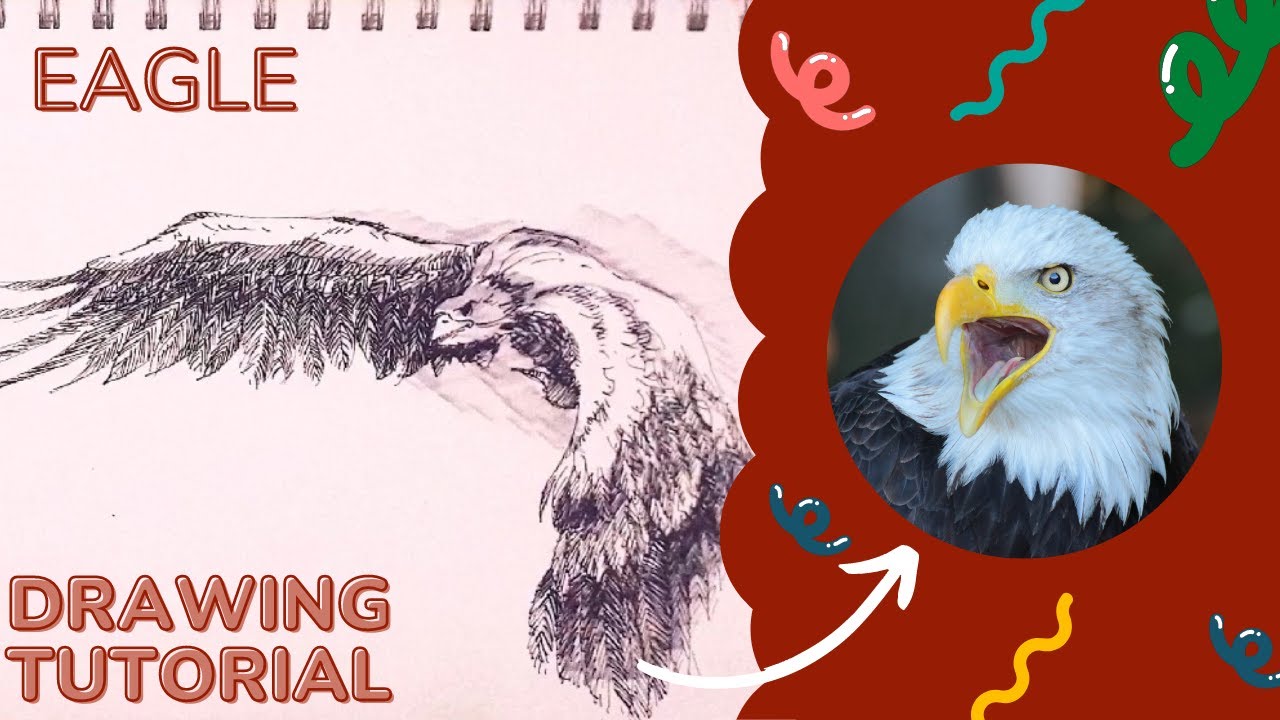 Easy drawing tutorial | Eagle drawing | eagle art | merry art world ...