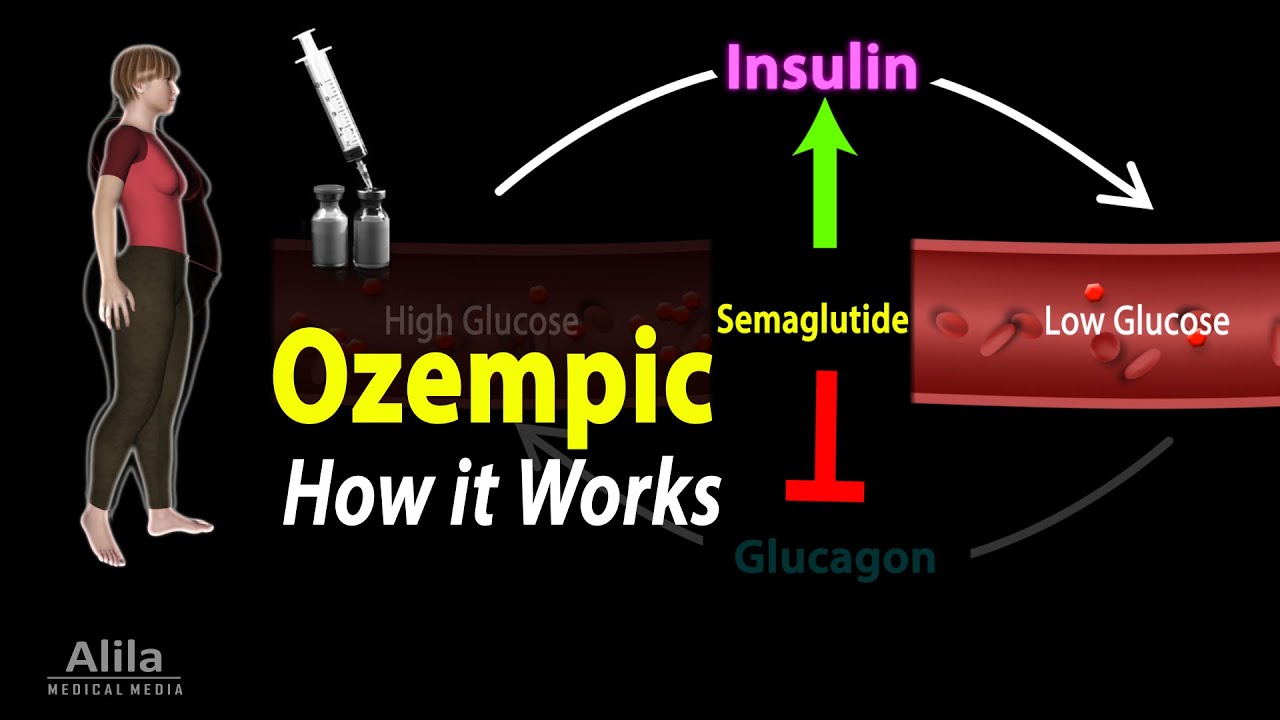 Semaglutide (Ozempic, Wegovy, Rybelsus) - Mechanisms of Action and ...