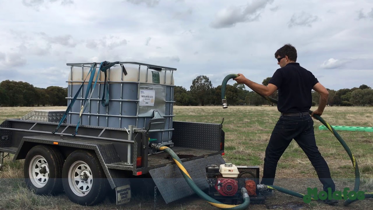 Recirculating Molafos in IBC's - YouTube