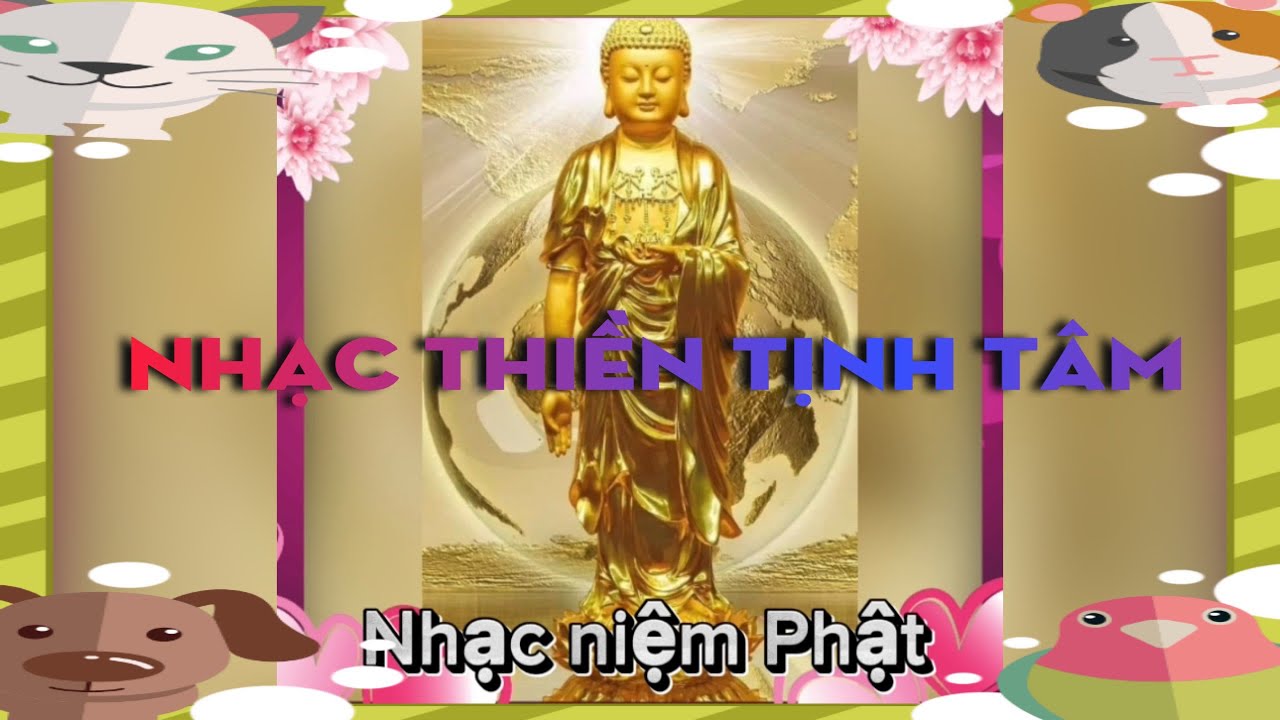 Nhạc thiền tịnh tâm -07 - 2023 #caocường #nhạcphòngtrà #vườnadida # ...