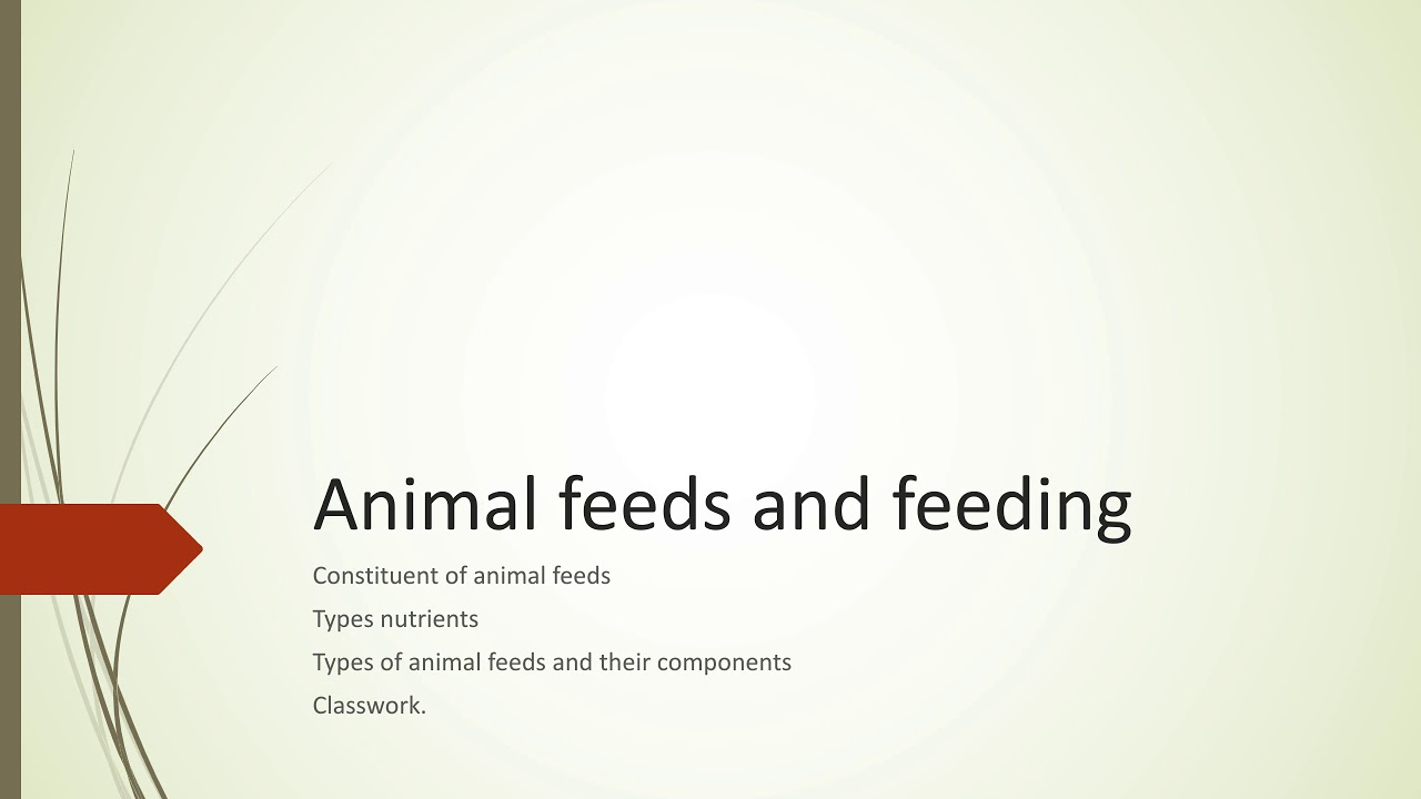 Agricultural science: Animal feeds feeding for Jss1 and 2 by Mr Oladipo ...