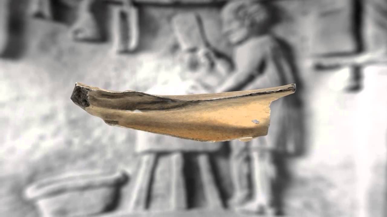 Roman Scapular with Butchery Marks - YouTube