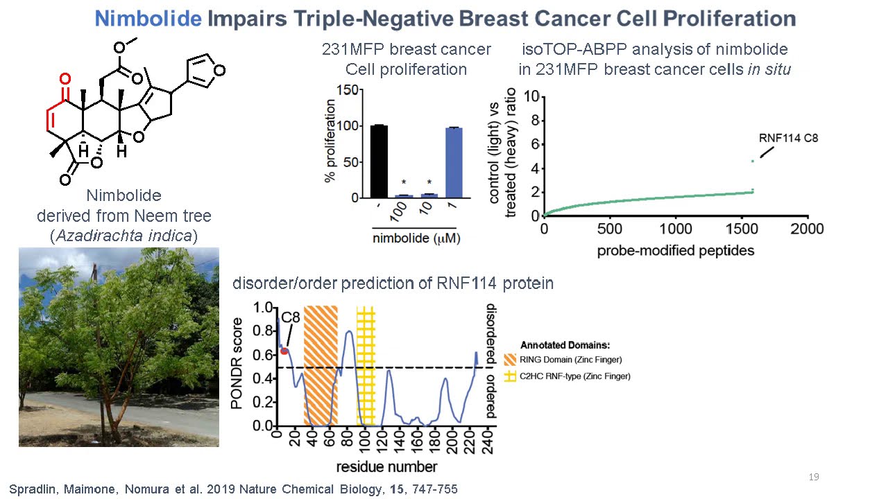 Chemical Probes as Essential Tools for Biological Discovery - YouTube