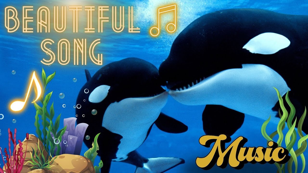 ORCAS / BEAUTIFUL MUSIC - YouTube