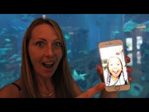 Calling Tiana On Facetime! Giant Shark Aquarium - YouTube
