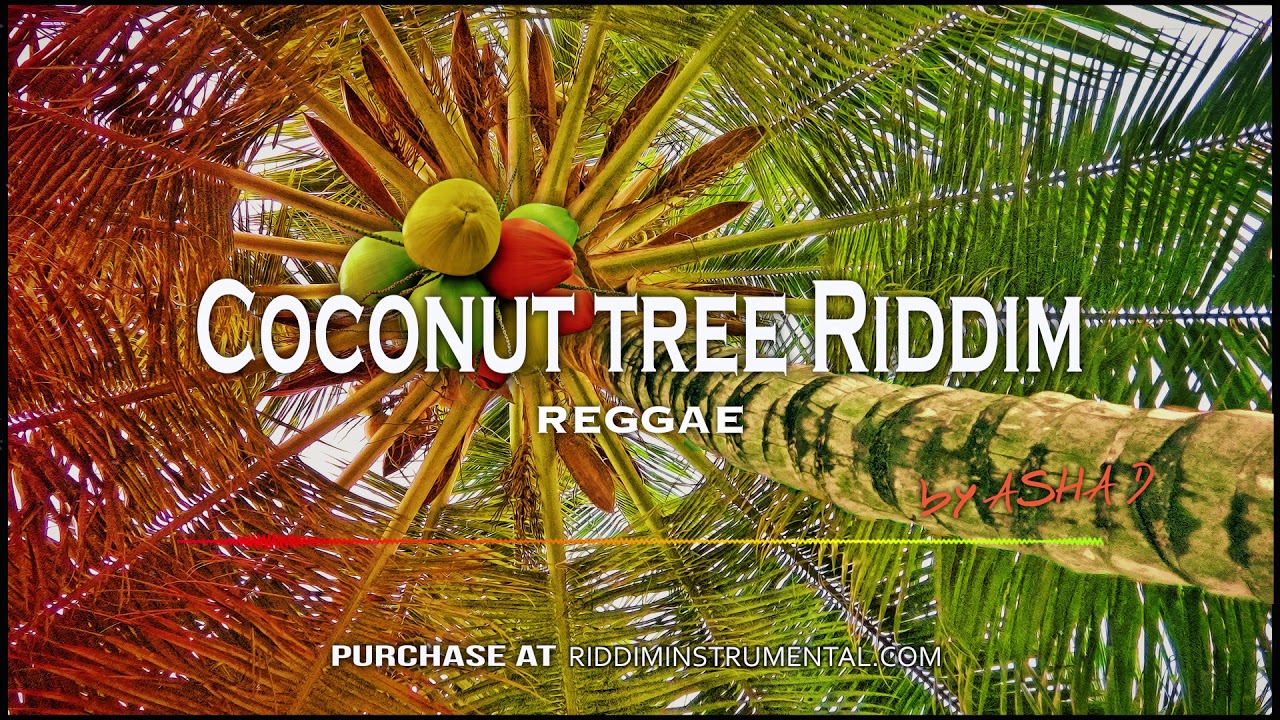 Coconut Tree Riddim - Reggae Instrumental - Riddim Instrumental by Asha ...