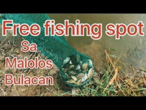 FREE FISHING SPOT IN MALOLOS BULACAN - YouTube