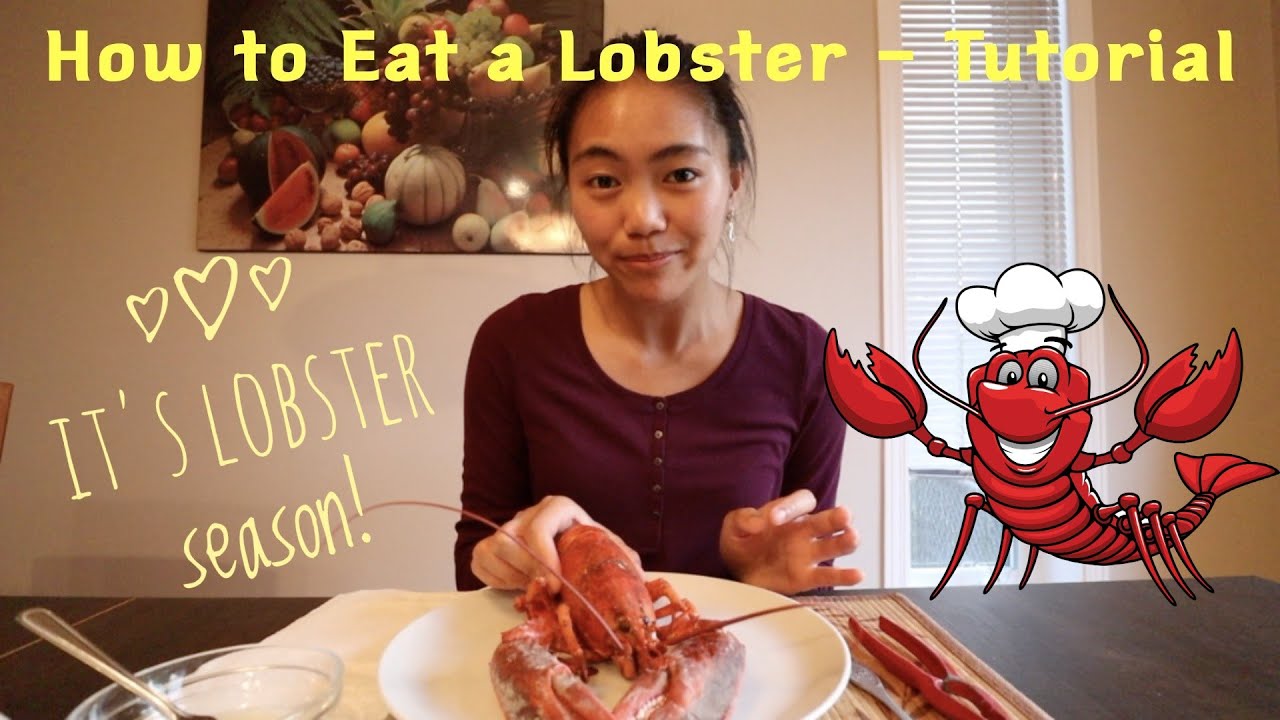 How to Eat a Lobster - Tutorial - YouTube