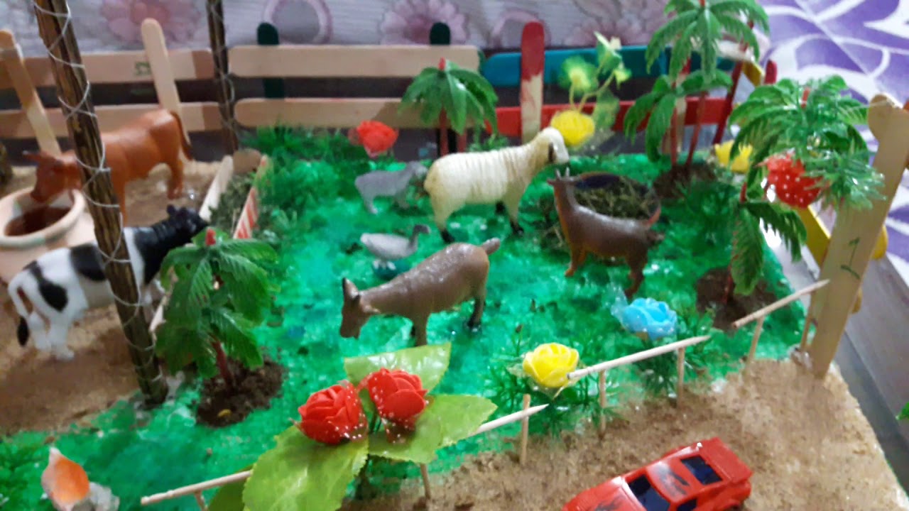 Dairy Farm For School Project YouTube dairy-farm-for-school-project-youtube