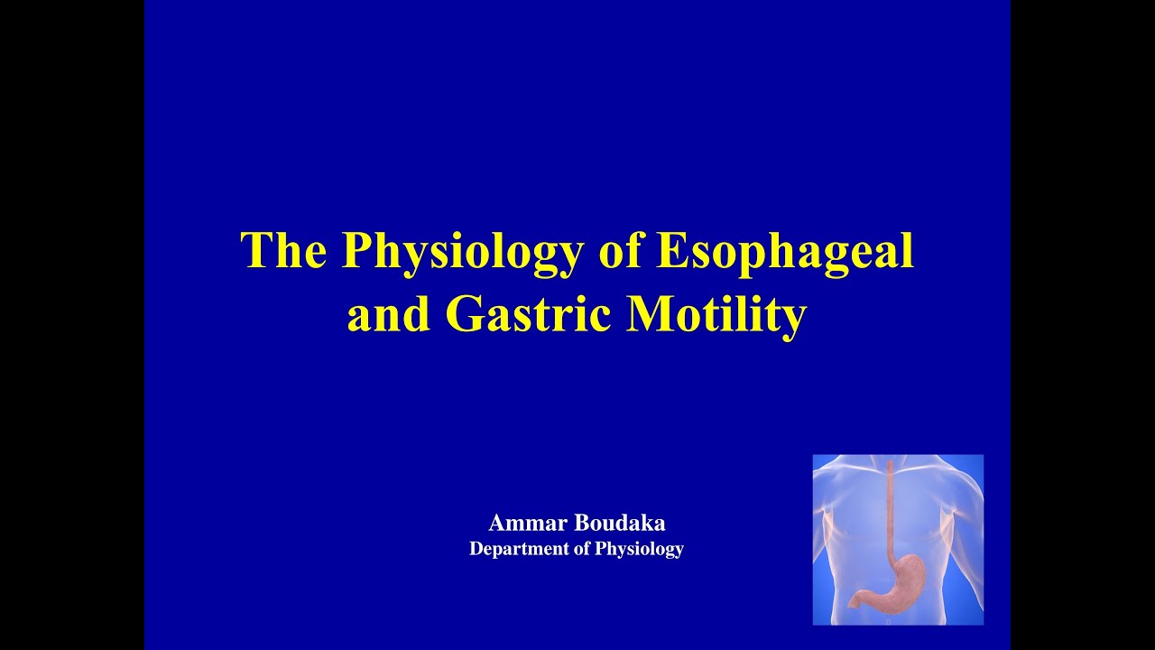 The Physiology of Esophageal and Gastric Motility - YouTube