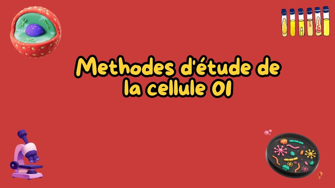 Methodes d'étude de la cellule|1ere année medicine 💊💉 - YouTube