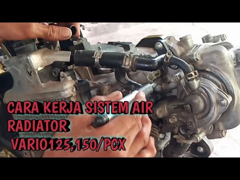 CARA KERJA SISTEM PENDINGIN RADIATOR VARIO125/150FI - YouTube