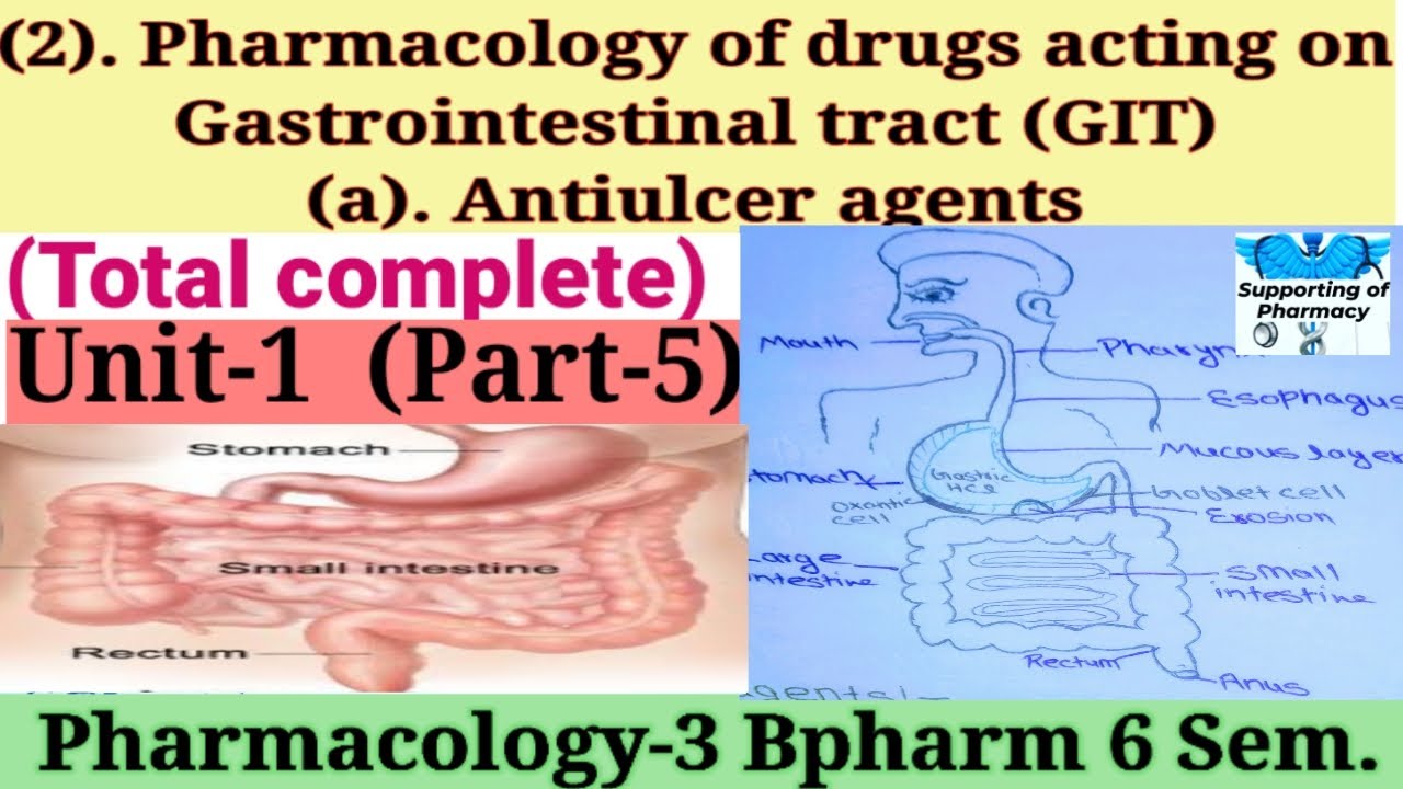 Antiulcer agents। Pharmacology of drugs acting on gastrointestinal ...