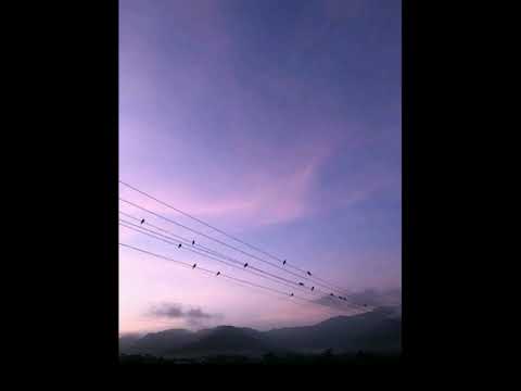 Tucinella ~ Hey (cover)