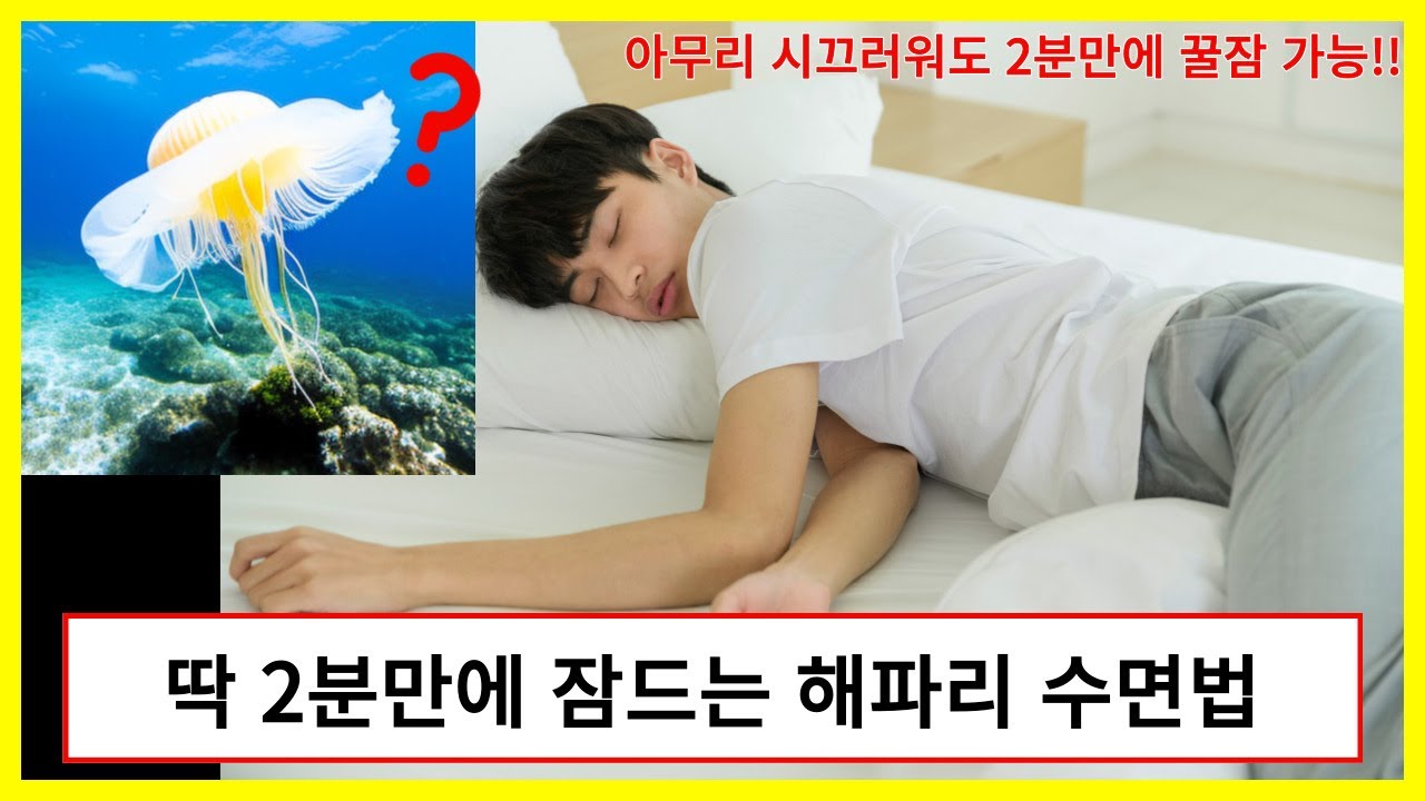 아무리 시끄러워도 2분만에 꿀잠자는 해파리 수면법 불면증 주목 Youtube