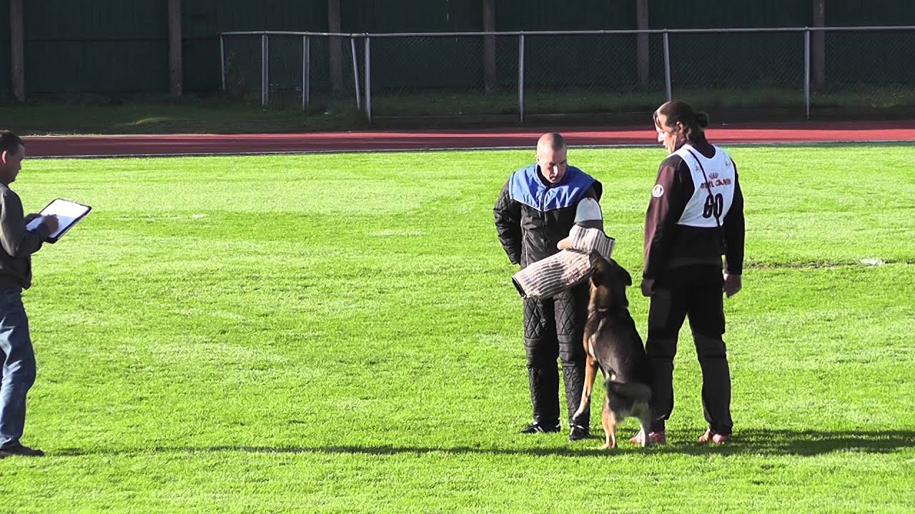 kenneth bast puru 85 - YouTube