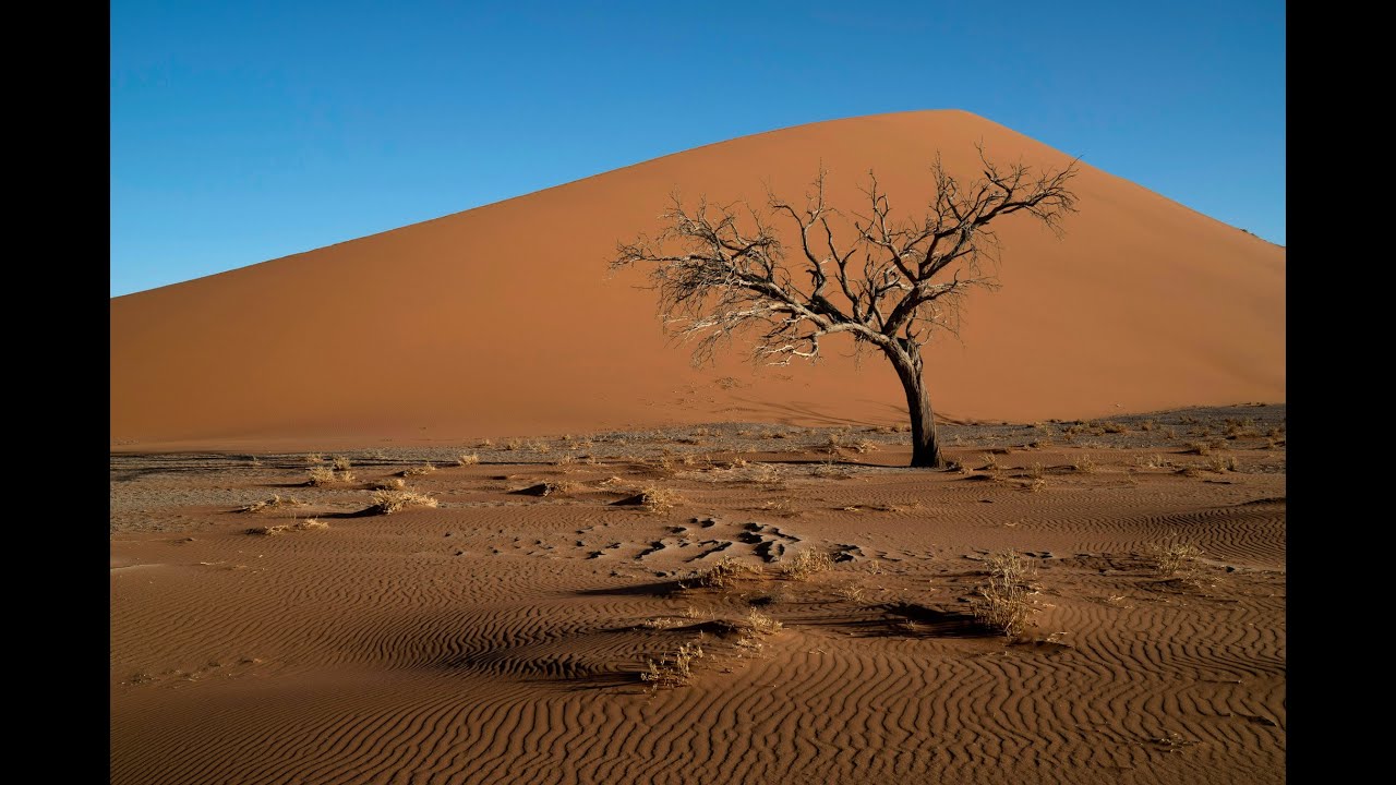 Speed level design - Desert using Unity3D - YouTube