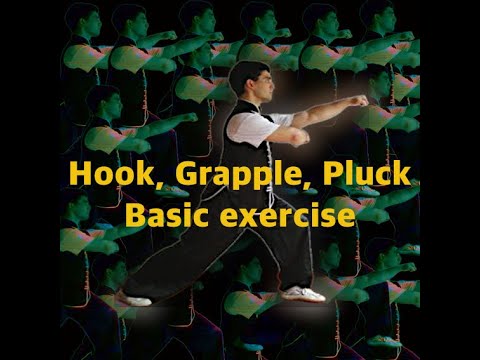 Gou Lou Cai Explained — First Technique of Seven Star Praying Mantis | Shifu Claudio Fabbricatore