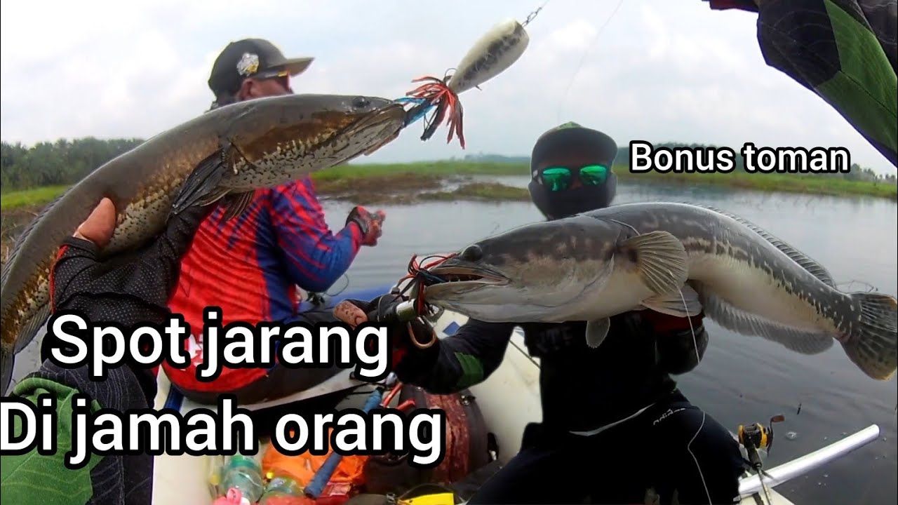 spot jarang di jamah orang,ikan nya ganas2, bonus toman - YouTube