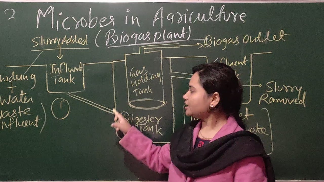 Microbes in Biogas production | Part - 3 | Chapter-10| Zoya Rahman ...