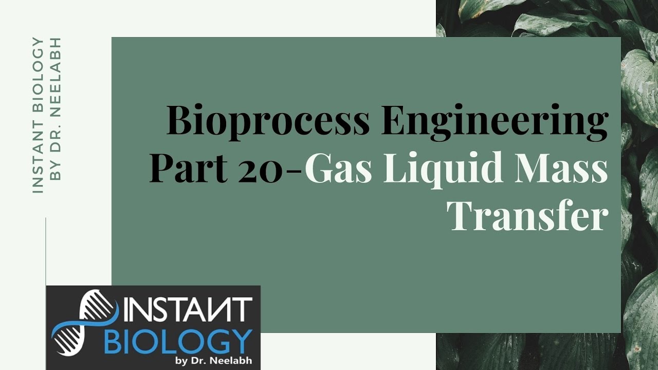 Gas Liquid Mass Transfer - YouTube