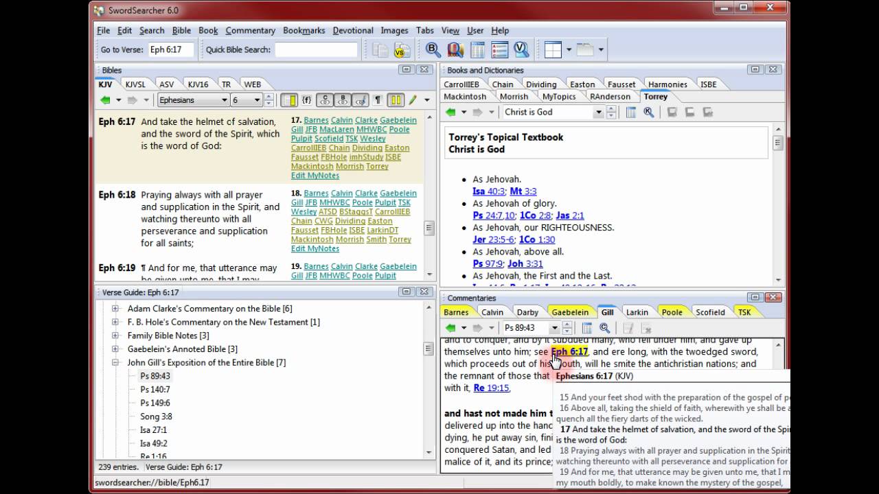 Using the Verse Guide in SwordSearcher Bible Software - YouTube