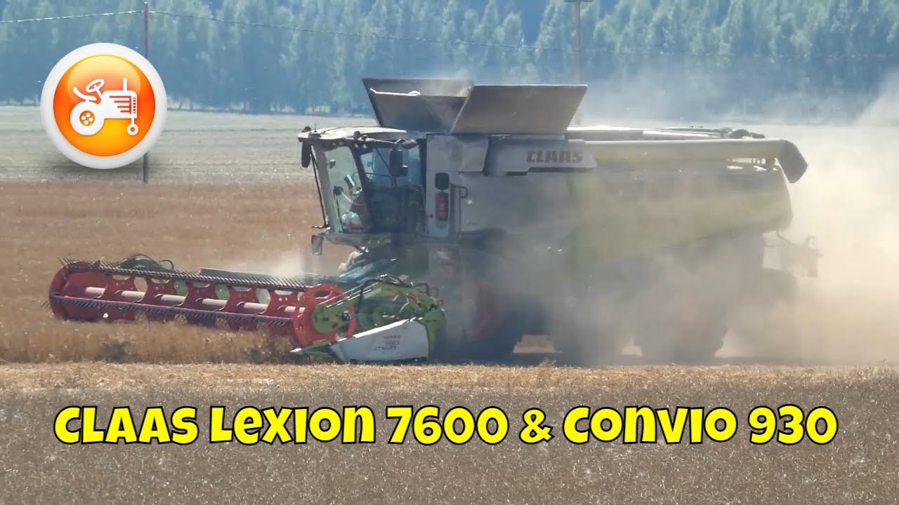 Harvest 2022 | Claas Lexion 7600 combine with Convio 930 header - YouTube