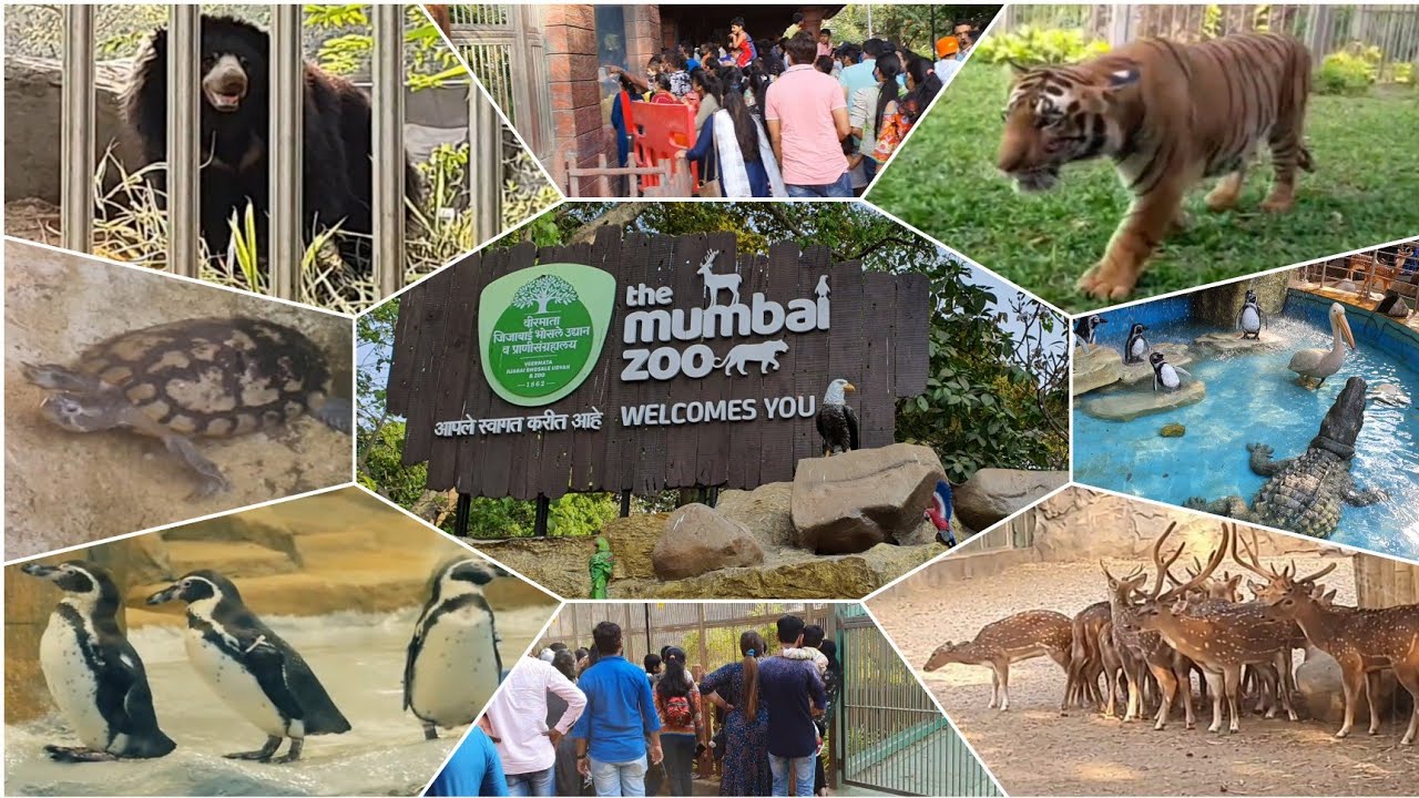 The Mumbai Zoo welcomes you |Rani Baag |Jijamata Udyan Zoo, Mumbai ...