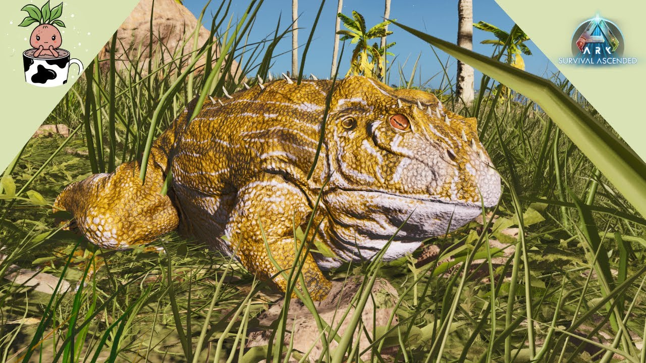 Ark Survival Ascended [The Island] - Ep 6 - Beelzebufo Taming - YouTube