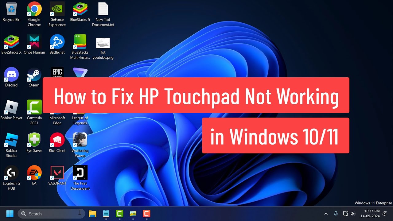 How to Fix HP Touchpad Not Working in Windows 10/11 - YouTube