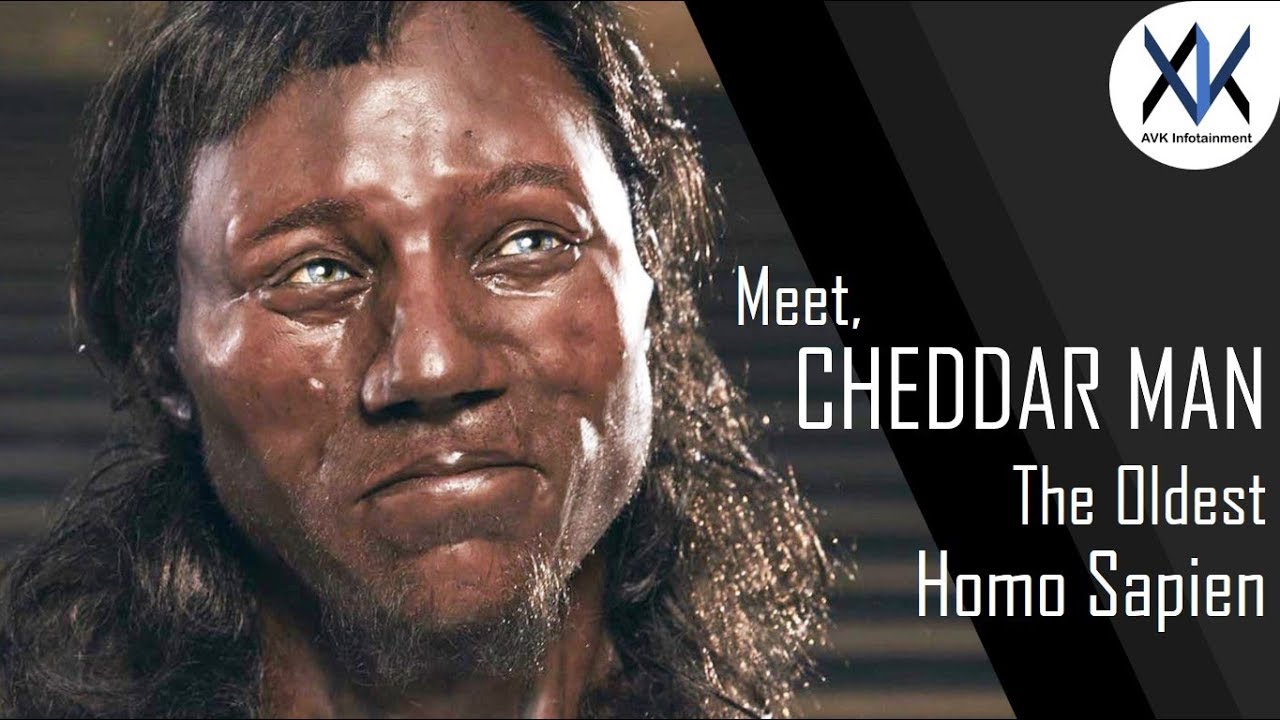 What is the science behind Cheddar man the oldest homo sapien in ...