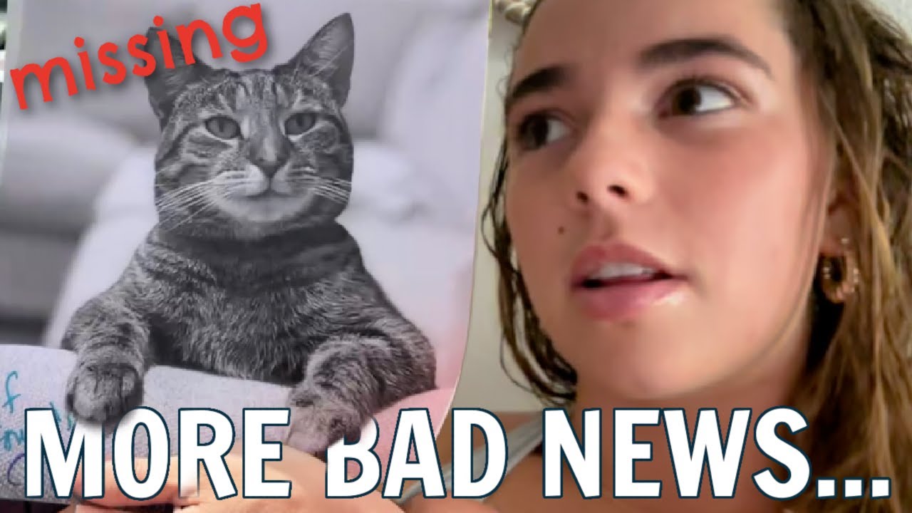 Just When We Thought It Couldn't Get Any Worse, Katie Called... - YouTube