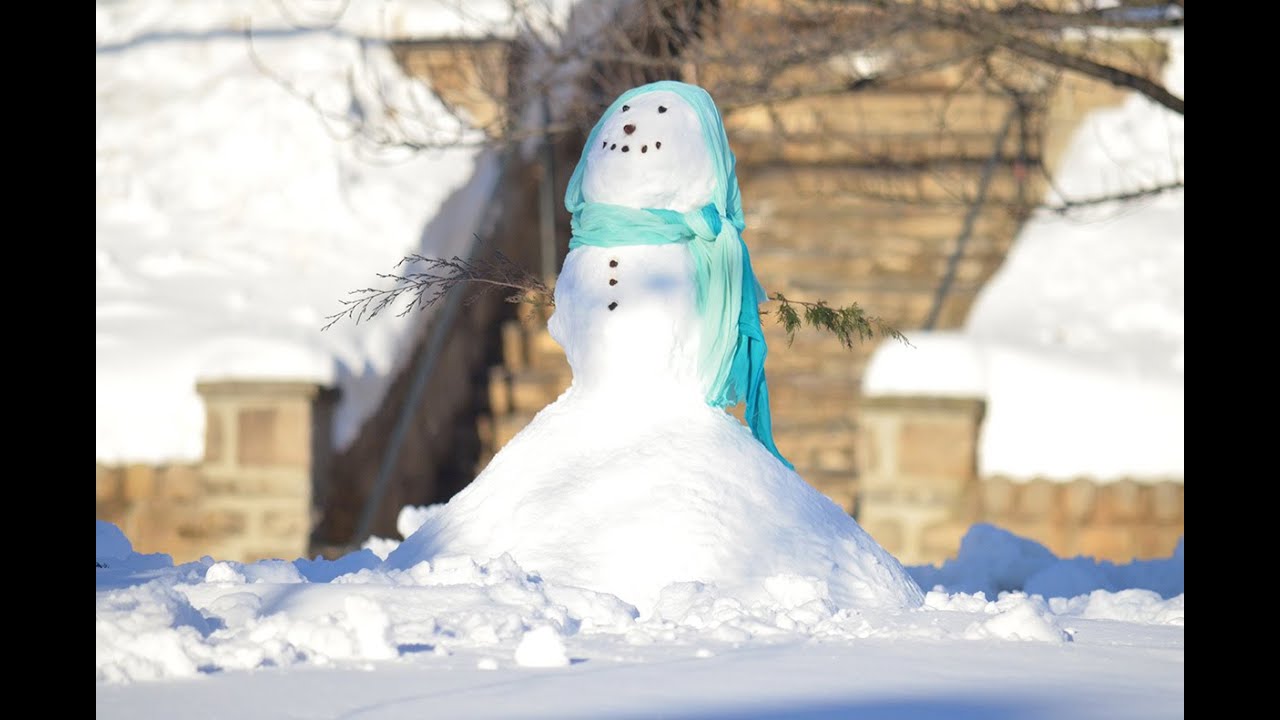 Snowmageddon / Blizzard / Snow Storm Jonas in DC 2016 - YouTube