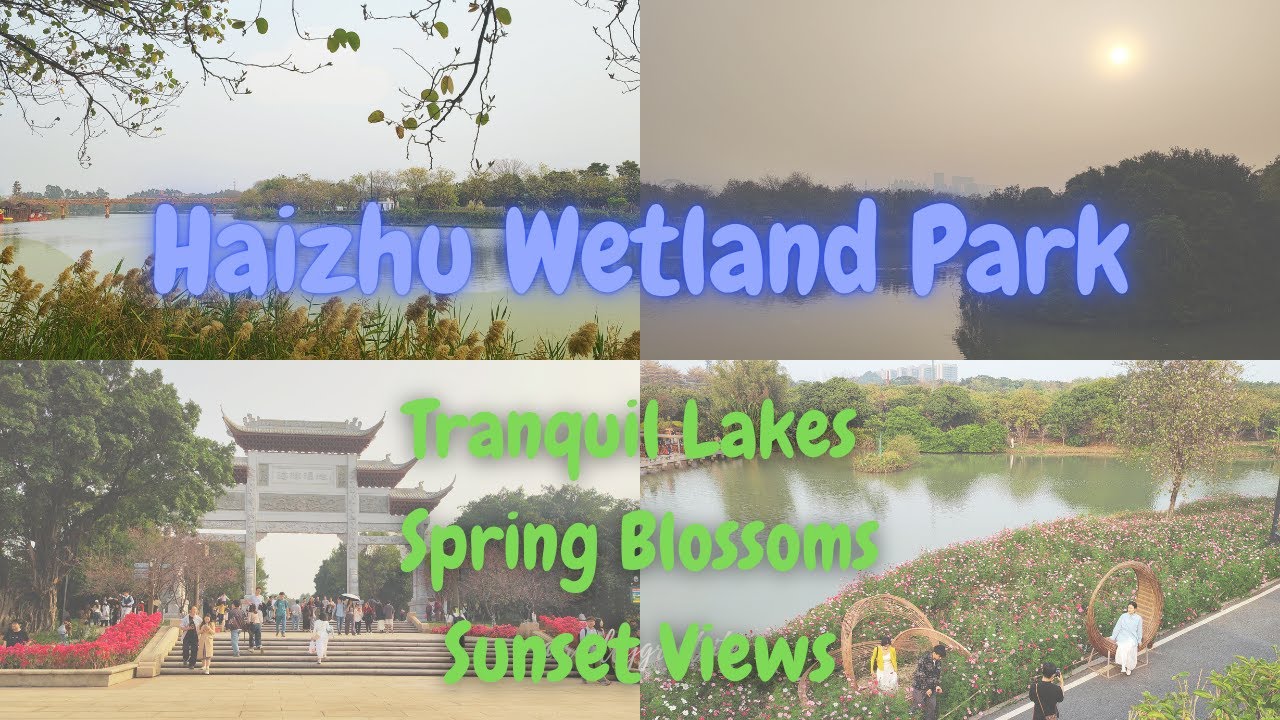 Exploring the Serene Beauty of Haizhu Wetland Park | Tranquil Lakes ...