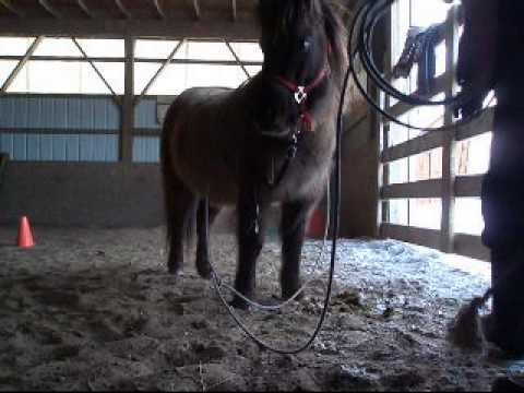 Rope Torture