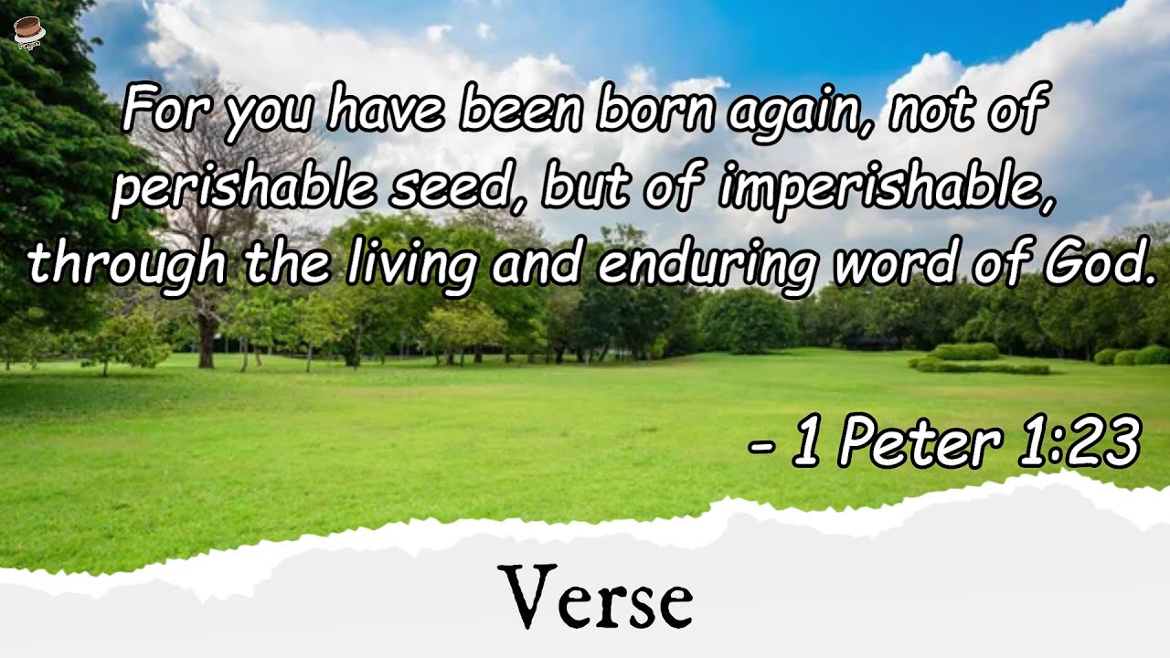 Verse of the Week - 4 February 2024 | Funwich TV - YouTube