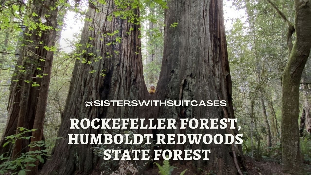 Rockefeller Forest, Humboldt County, California! - YouTube