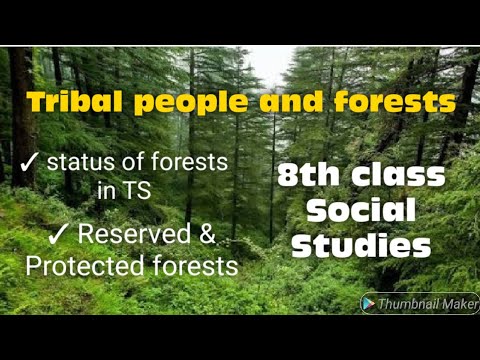 Tribal people and forests| Reserved and protected forests| Status of ...
