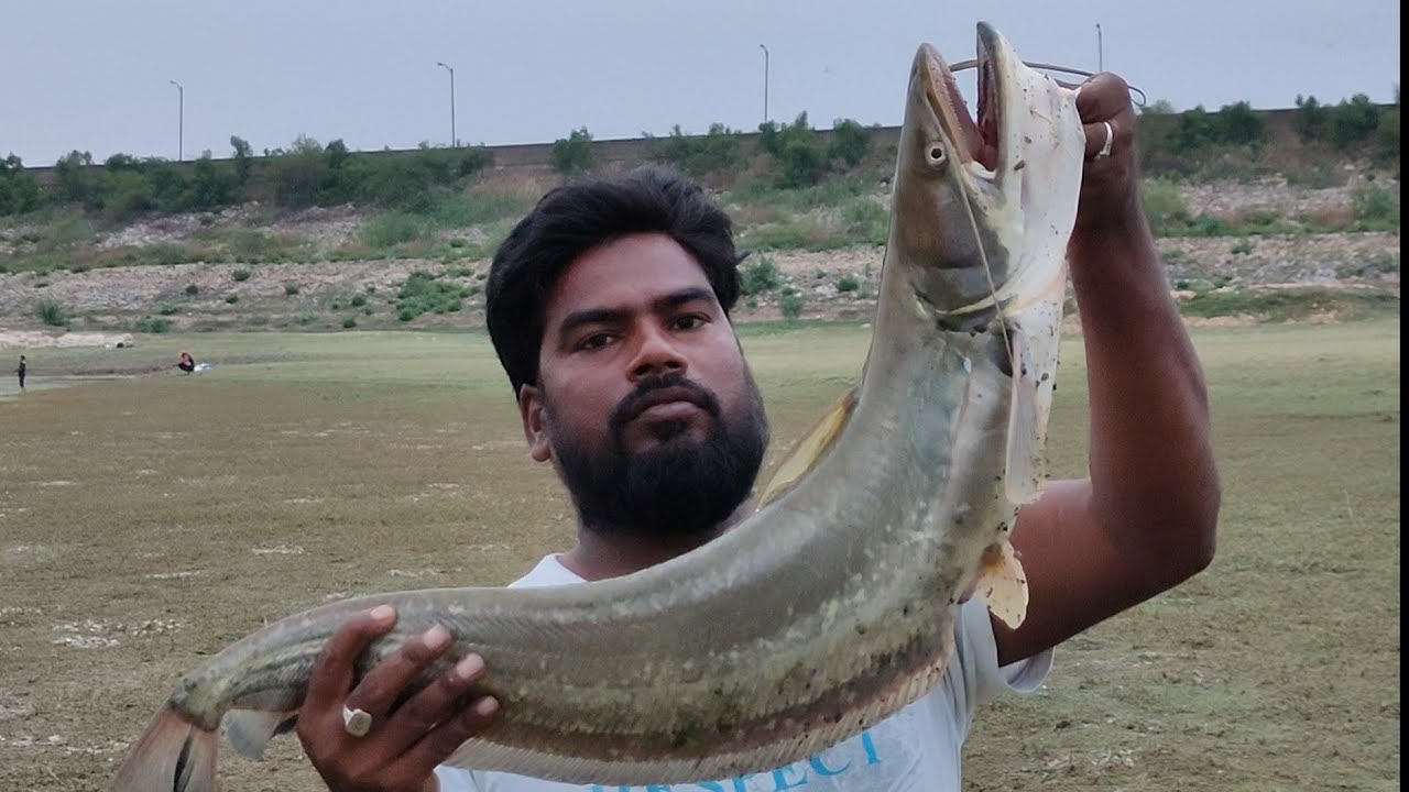 Amazing Big Pathan fish spoon fishing unique fish trap//big valuga ...