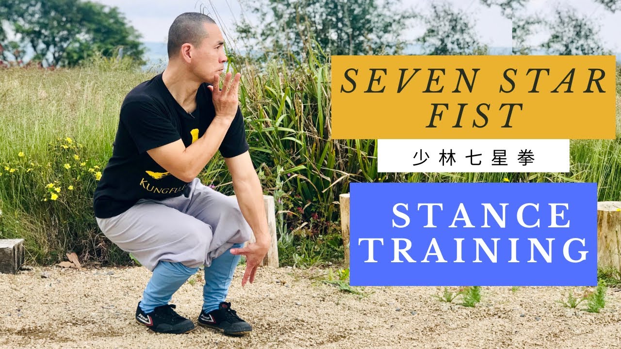 Shaolin Seven Star Fist (Qi Xin Quan - 七星拳) - Seven Star Stance ...