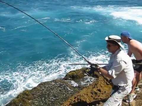 Quobba Fishing - shark caught at the caves - YouTube