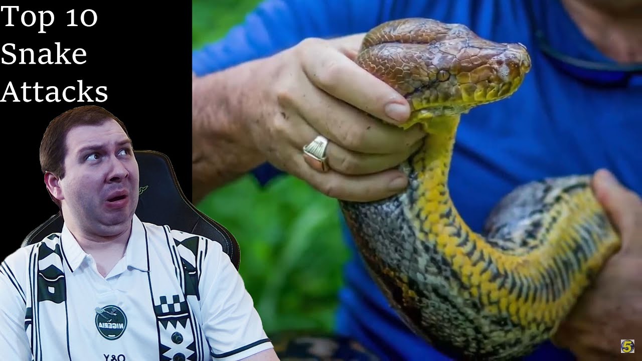 Top 10 Snack Attacks Reaction - YouTube