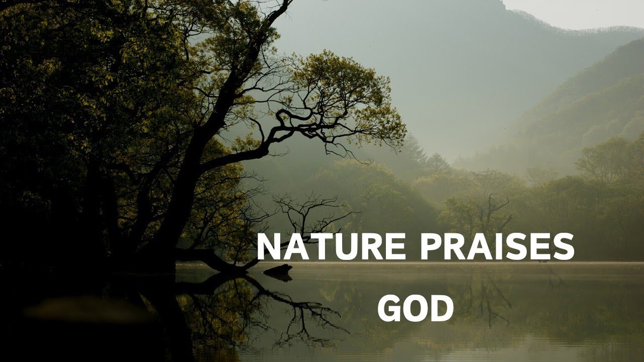 Nature praises god || Nature praises him - YouTube