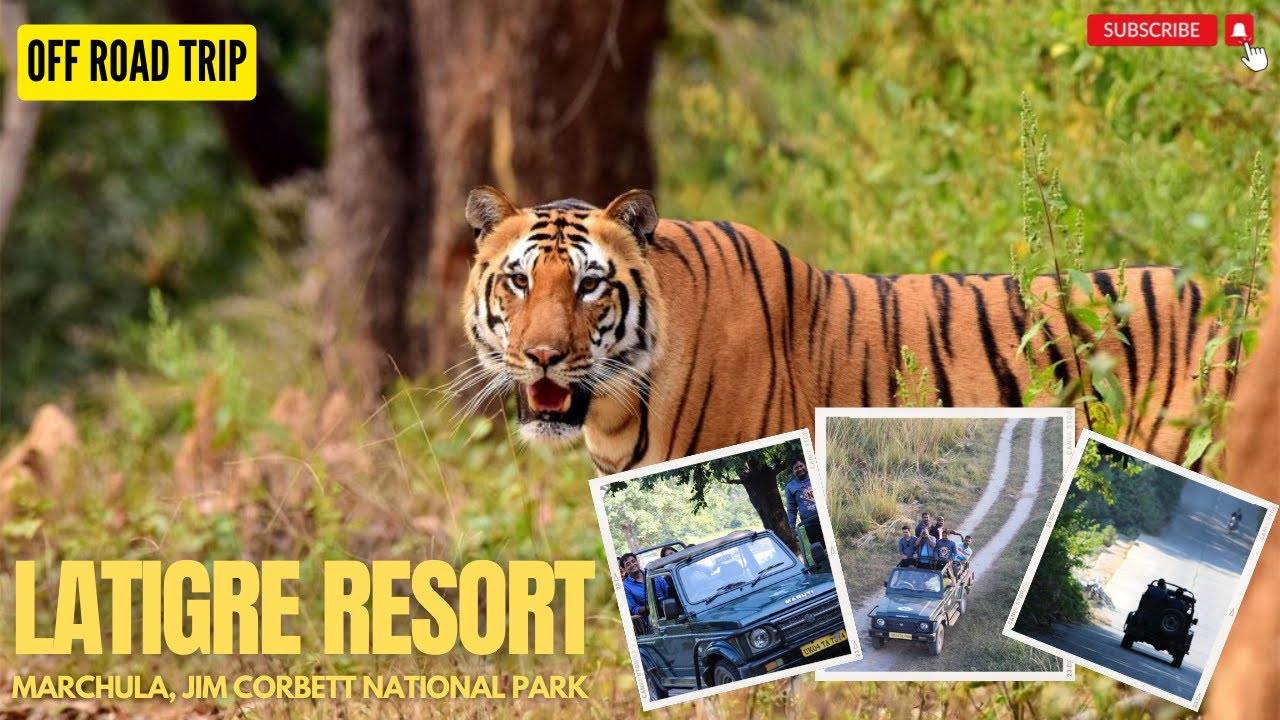 Corbett Off Road Trip | LaTigre Resort Corbett | Best Valley View ...